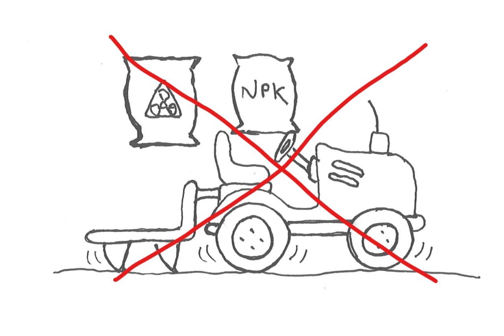 Carbon Sequestration - Foxburrow Farm
